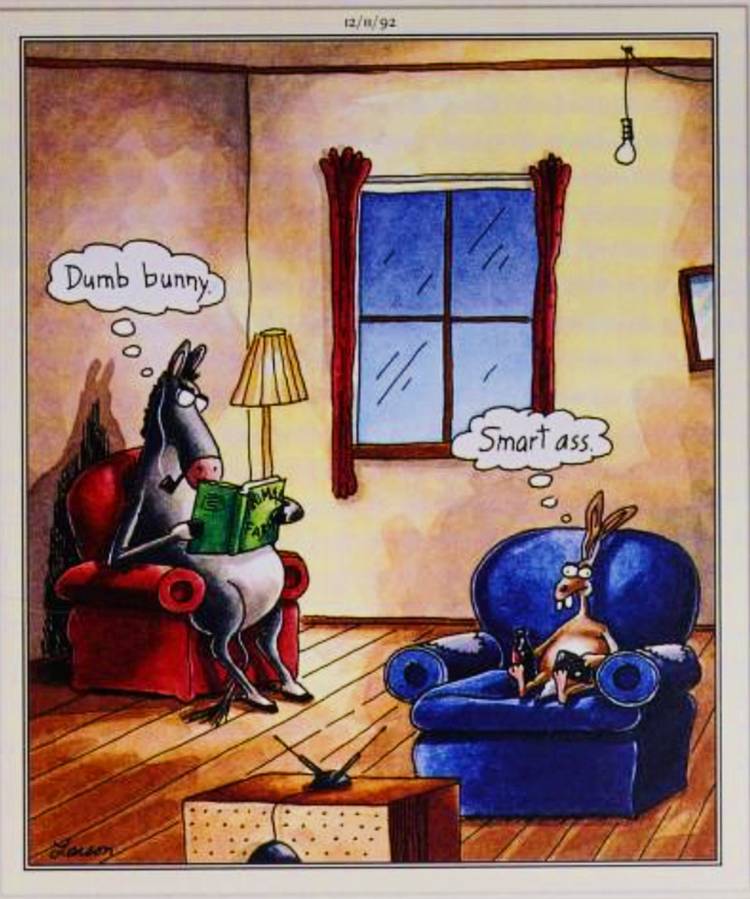 10 Far Side Jokes You Don't Need To Break Your Brain To Get