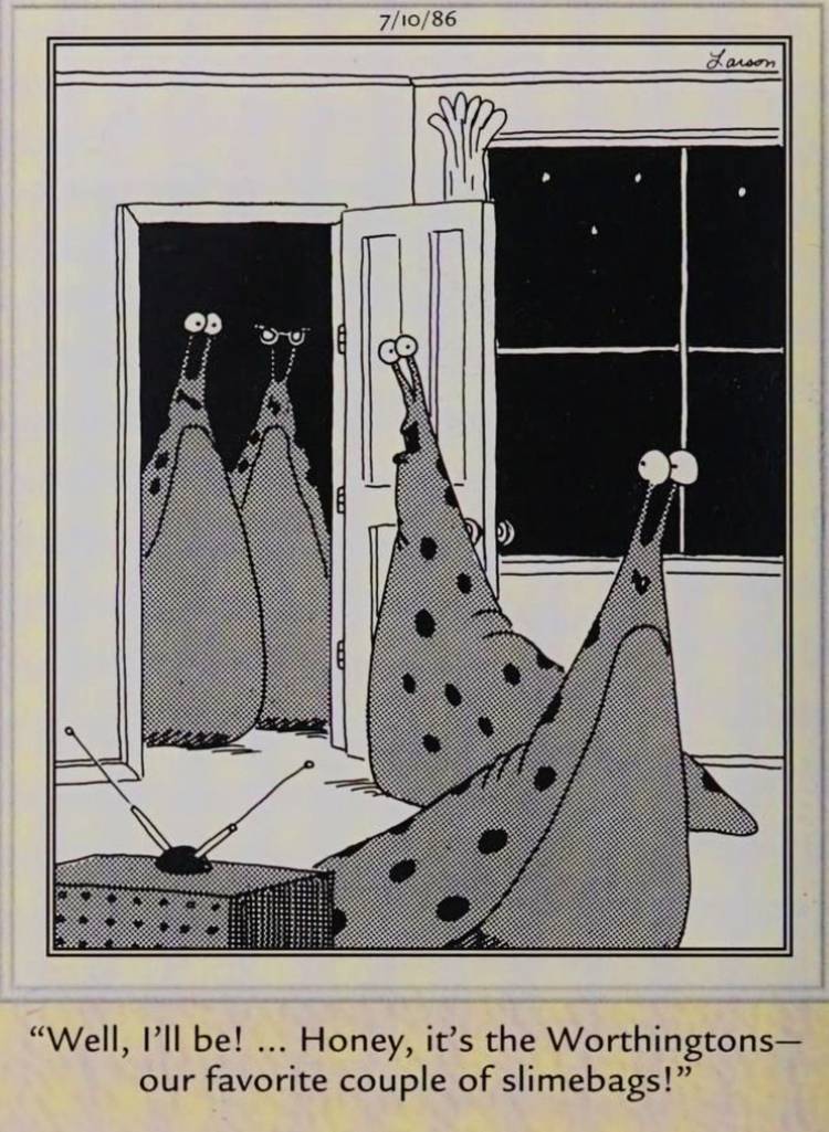 10 Far Side Comics That Will Make You Wish You Could Go Back To the ...