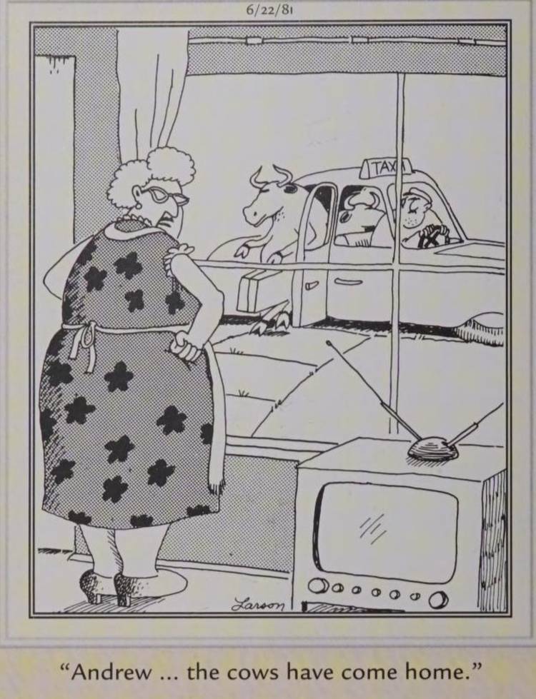 10 Far Side Jokes You Don't Need To Break Your Brain To Get