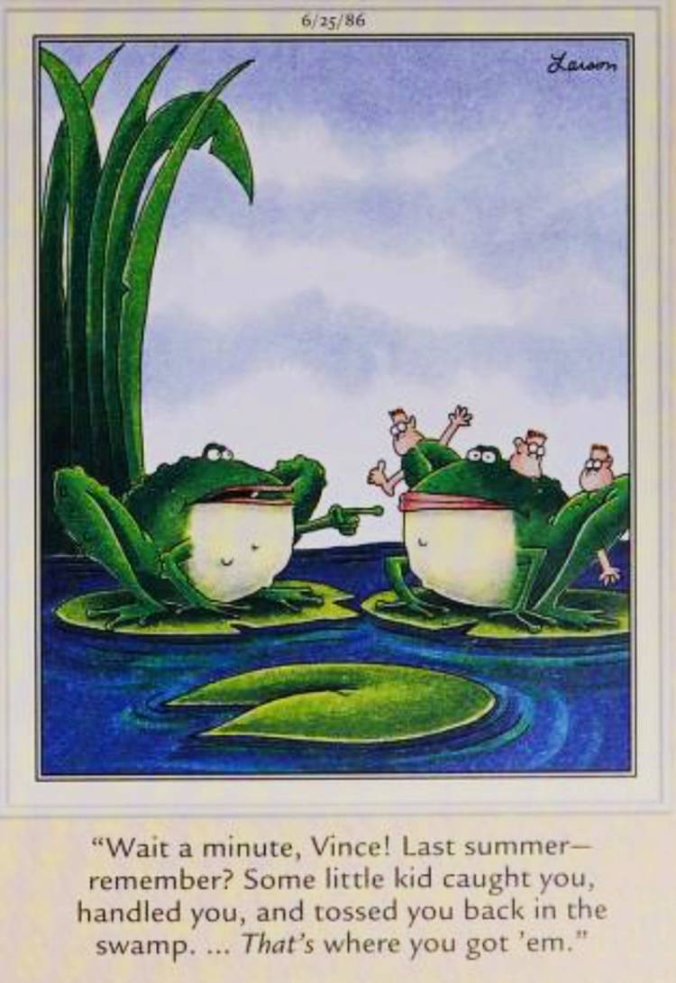 10 Far Side Comics That Will Make You Wish You Could Go Back To the ...