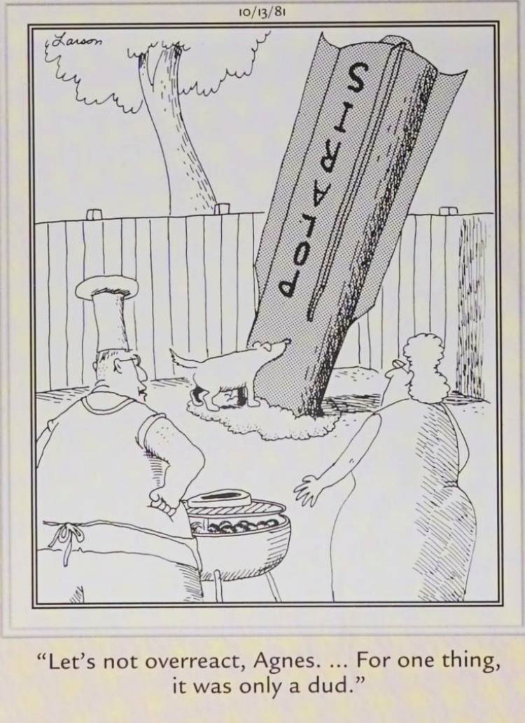 15 Far Side Comics About Missles You Don't Need To Be A Rocket ...