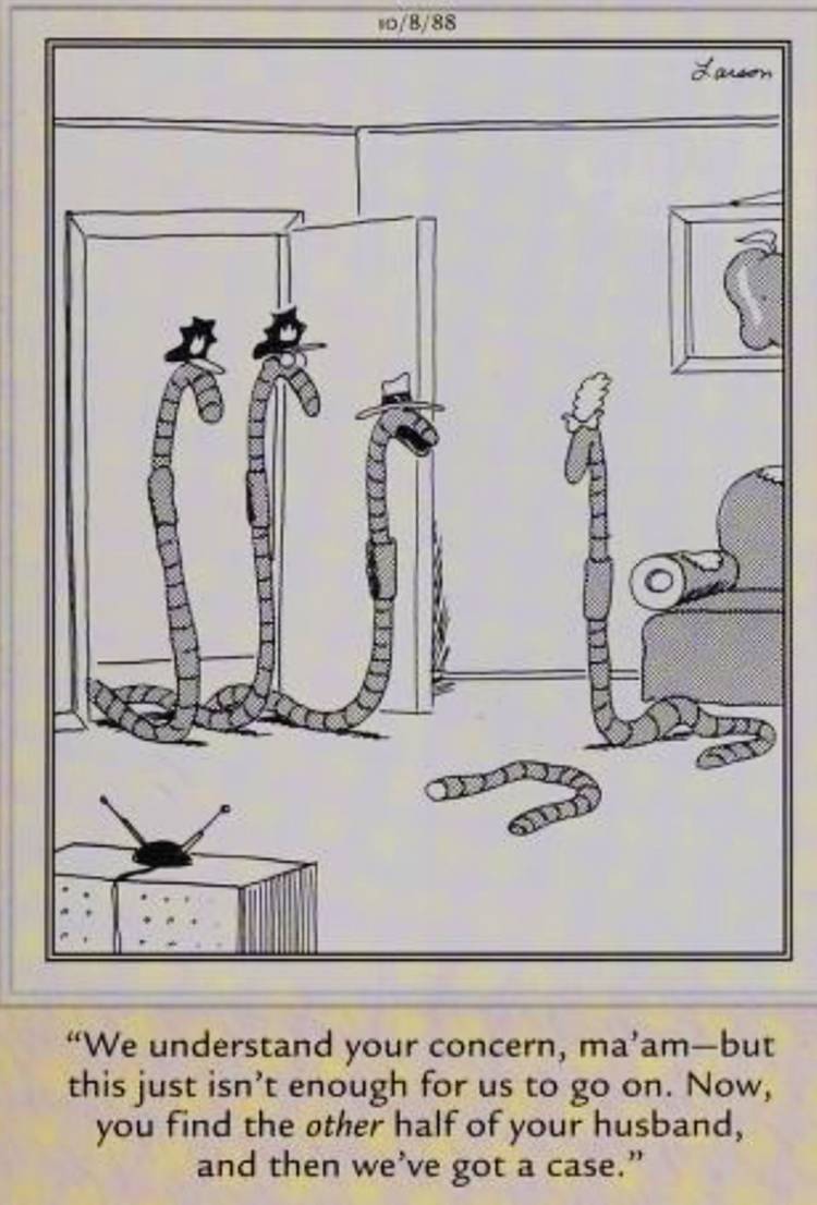 10 Far Side Comics Where The Joke Is A Literal Mystery