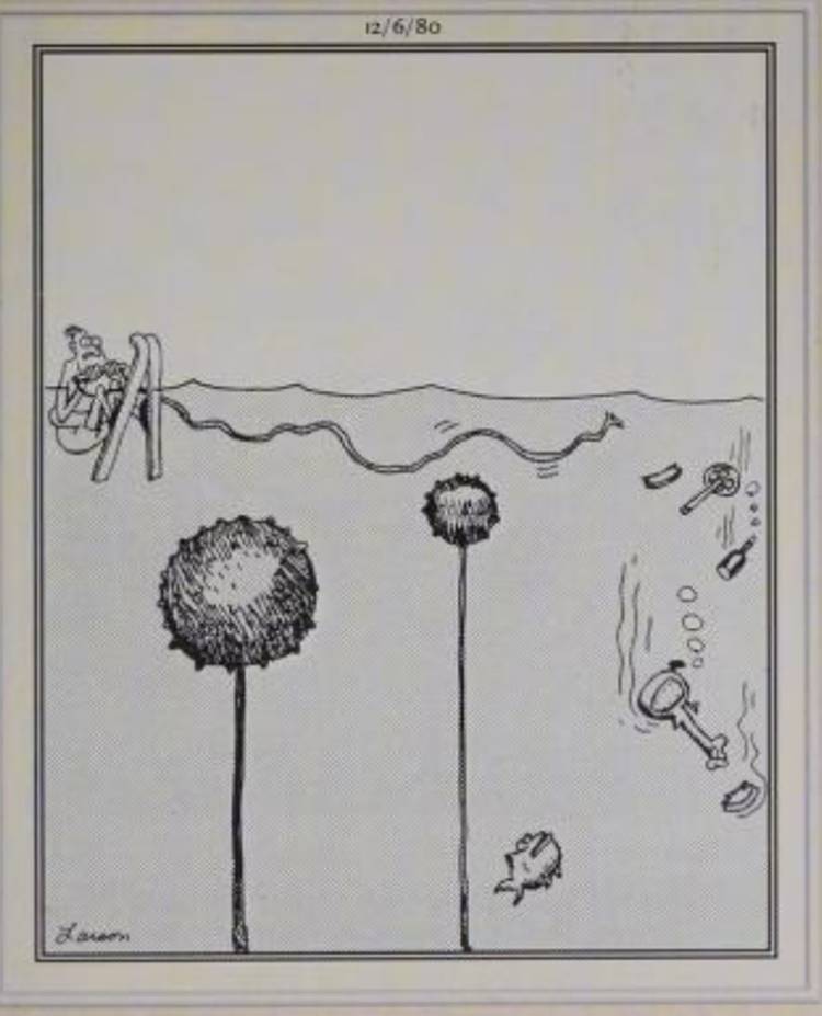 9 Weird Far Side Comics That Are Certified Brain Teasers