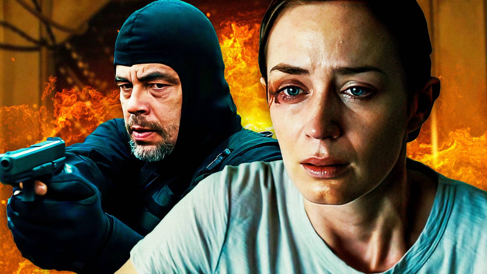 Is Sicario Based On A True Story? Taylor Sheridan's Inspiration Explained