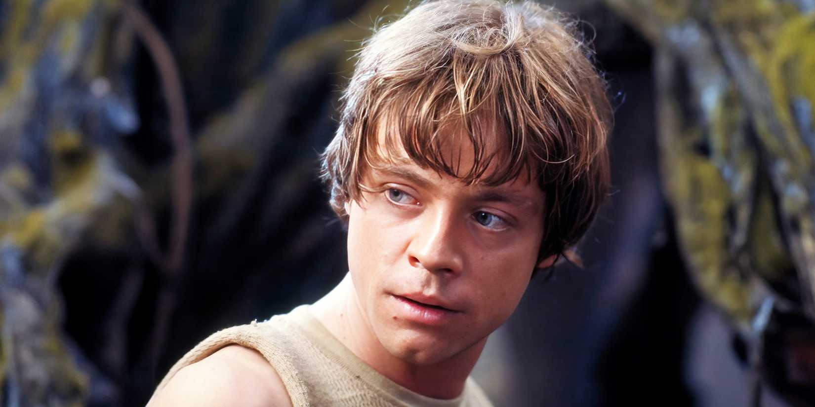 Is Luke Skywalker Gay? Decades-Old Star Wars Theory & What Mark Hamill ...