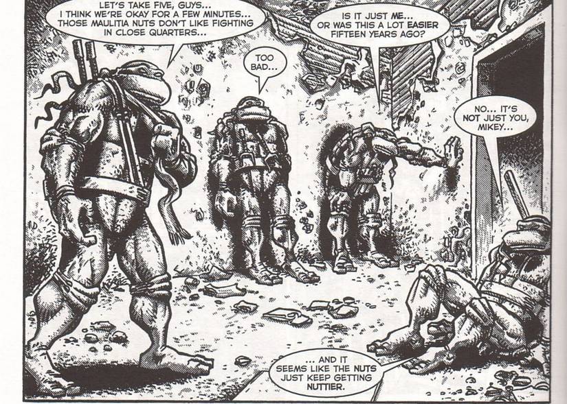 After 20+ Years of Waiting, One of TMNT's Lost Series Is Finally ...