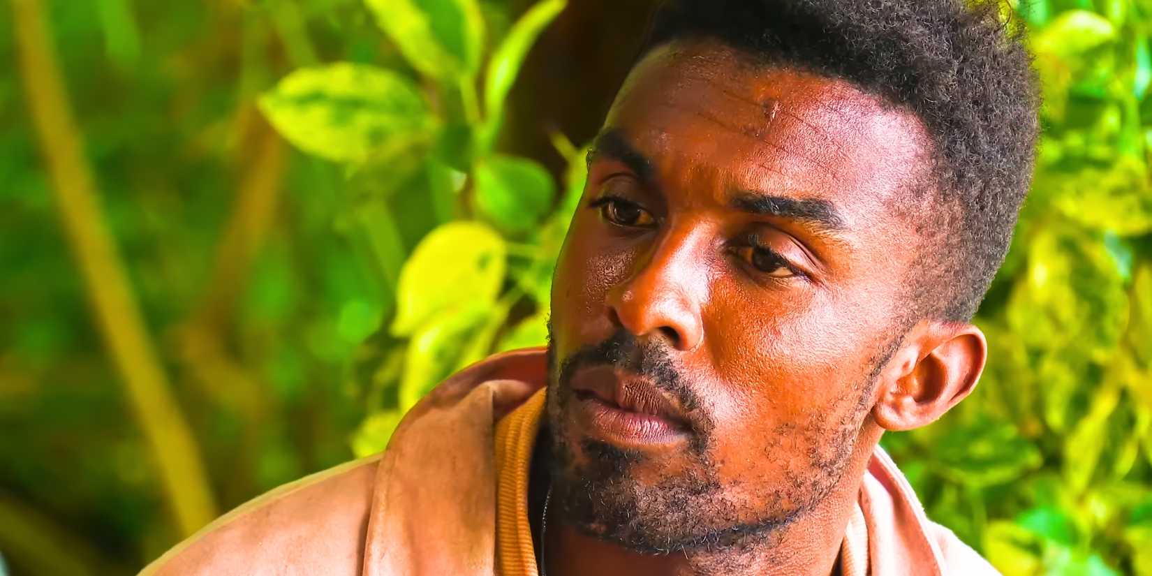 Survivor 50 Cast Guide
