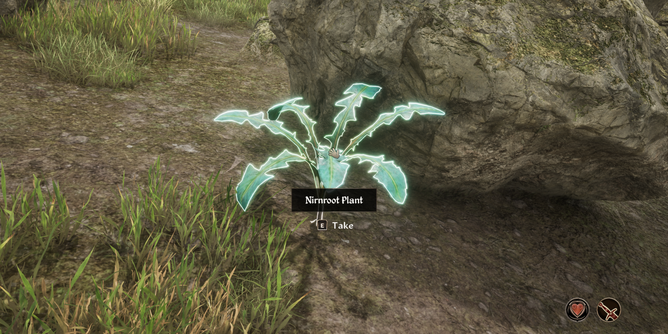 Oblivion Remastered: Where To Find Nirnroot For Seeking Your Roots