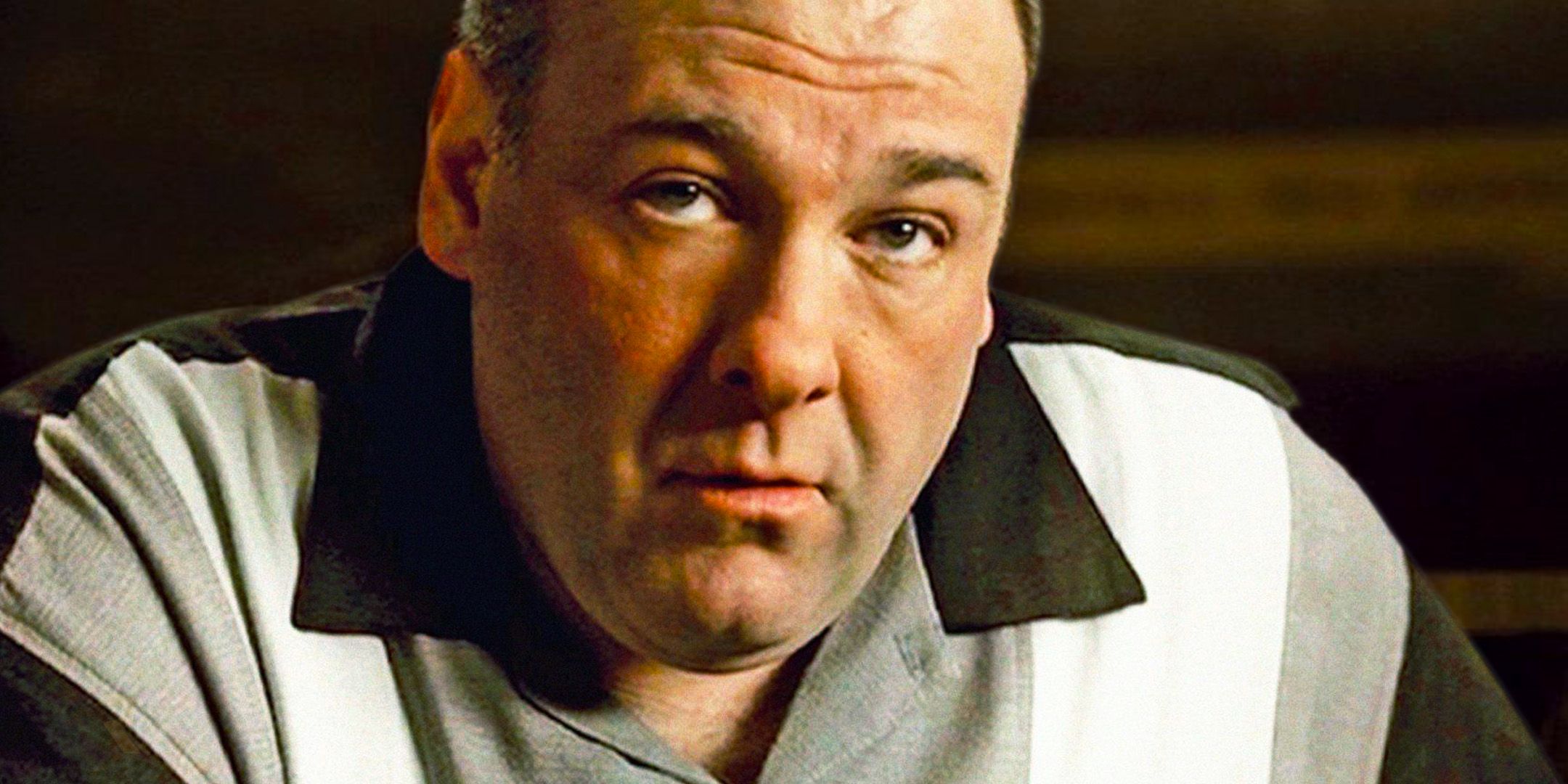 Who Was The Guy In The Members Only Jacket In The Sopranos? Theories ...