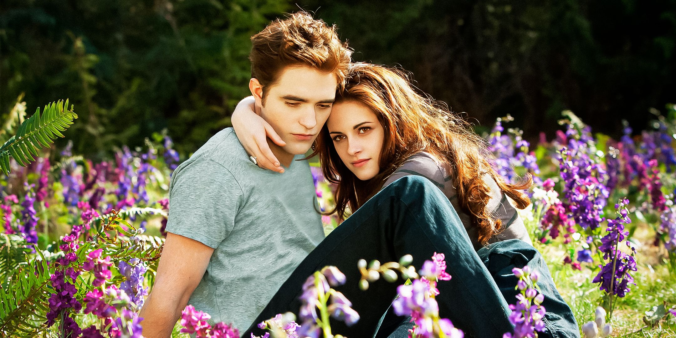 Twilight Director Addresses Controversial Carlisle Moment