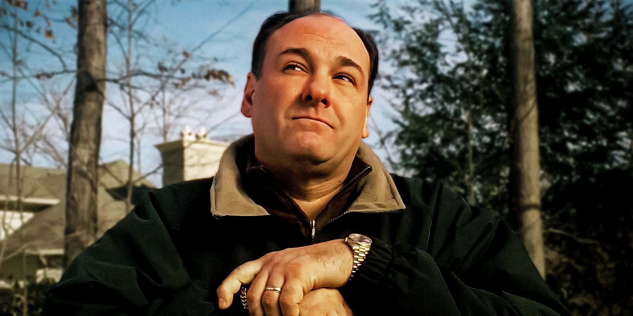 Who Was The Guy In The Members Only Jacket In The Sopranos? Theories ...