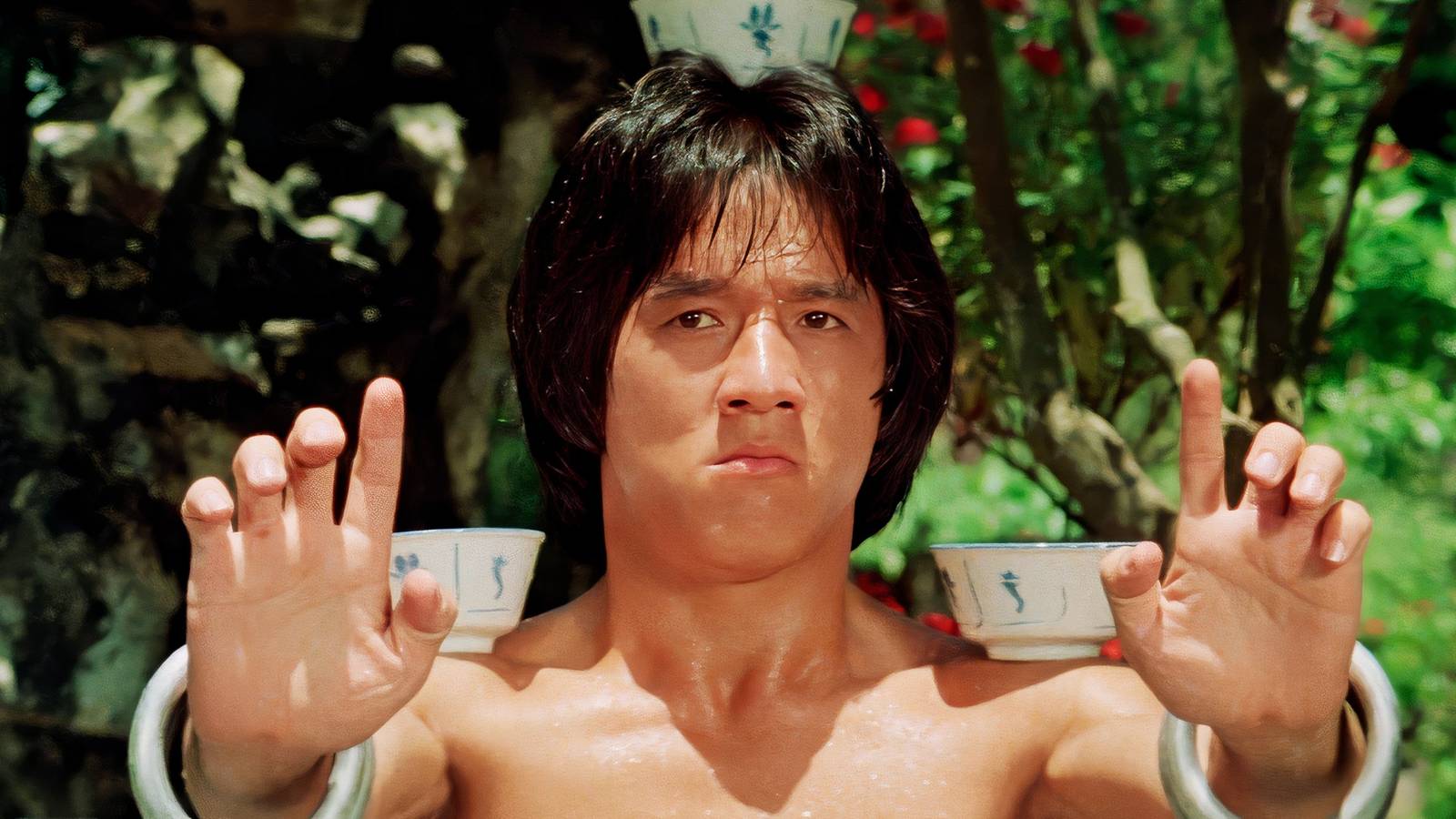 Around 100 Bruce Lee, Jackie Chan, Jet Li & More Kung Fu Classic Movies ...