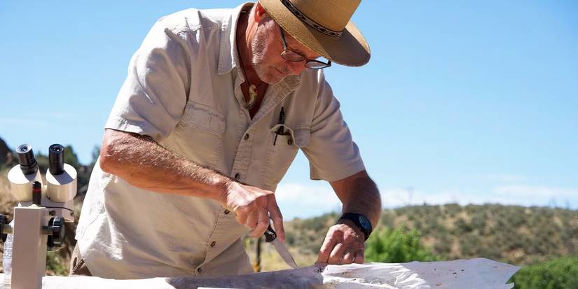 Mystery At Blind Frog Ranch Season 5: Cast Guide