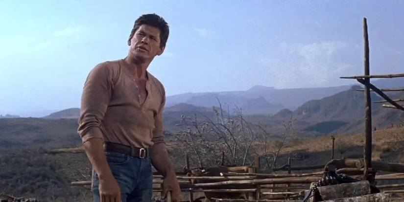 What Happens To Every Member Of The Magnificent Seven (Including The ...