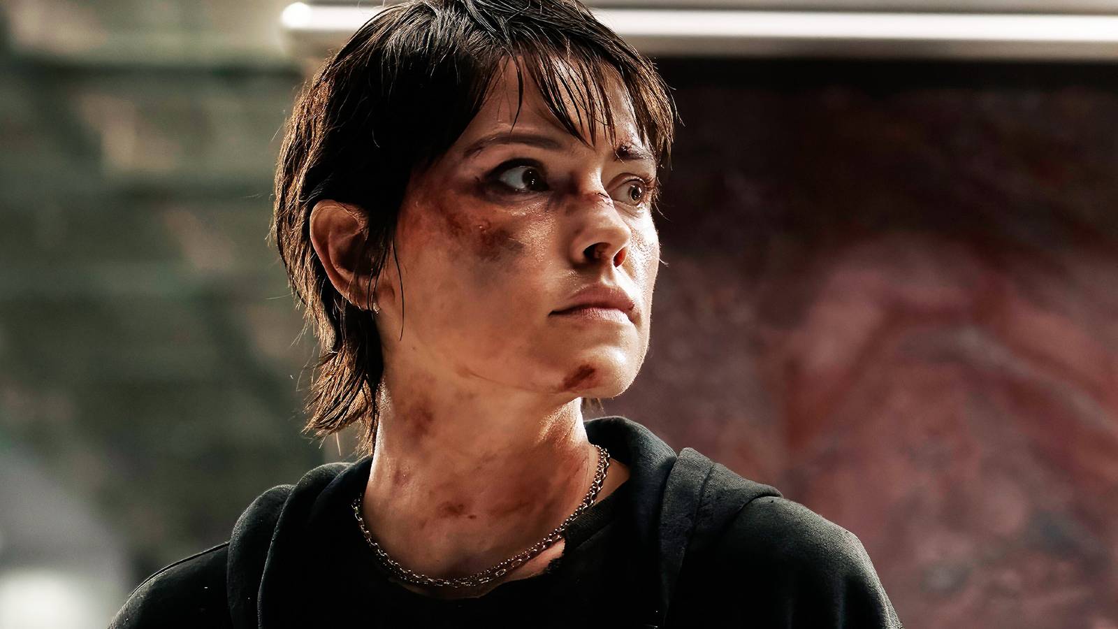 Daisy Ridley's Underrated Movie That's A Streaming Hit Continues A 33 ...
