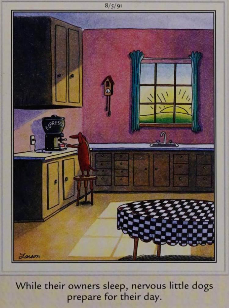 10 Hilarious Far Side Comics From the 1990s That You Definitely Forgot ...