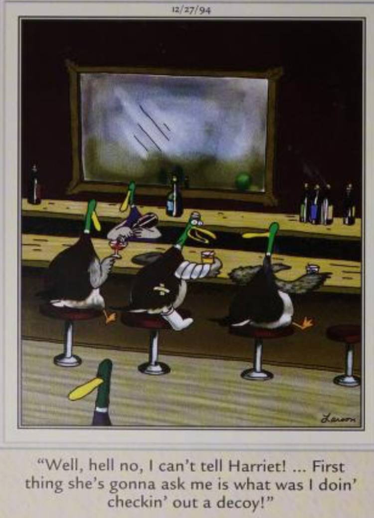 10 Far Side Forgotten Gems From the Final Year Of Gary Larson's Career