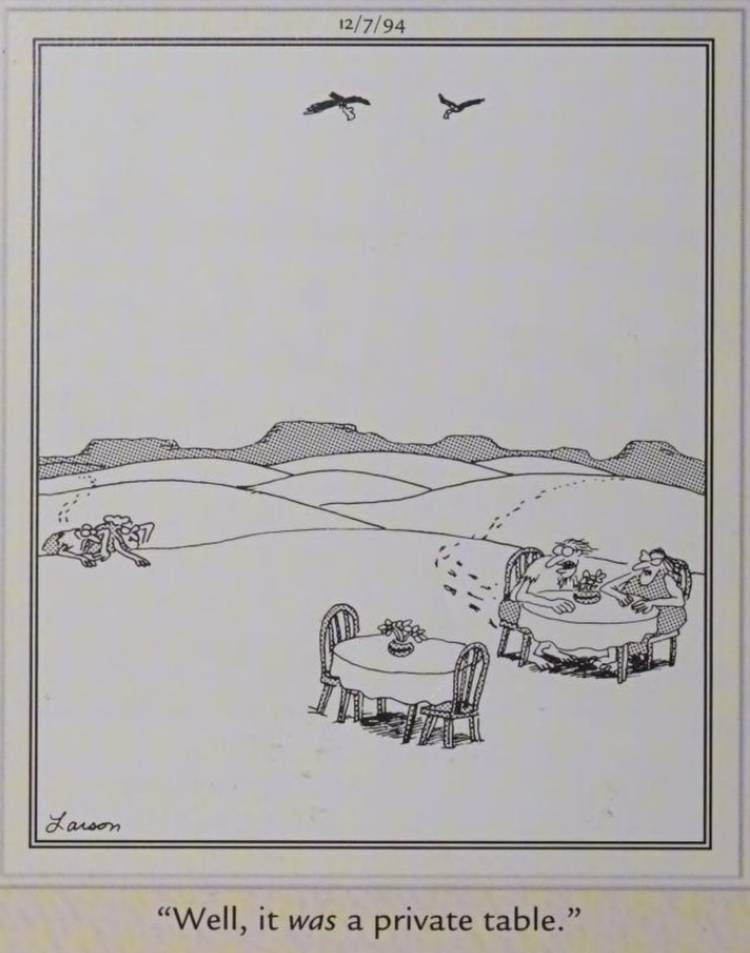 10 Hilarious Far Side Comics From the 1990s That You Definitely Forgot ...