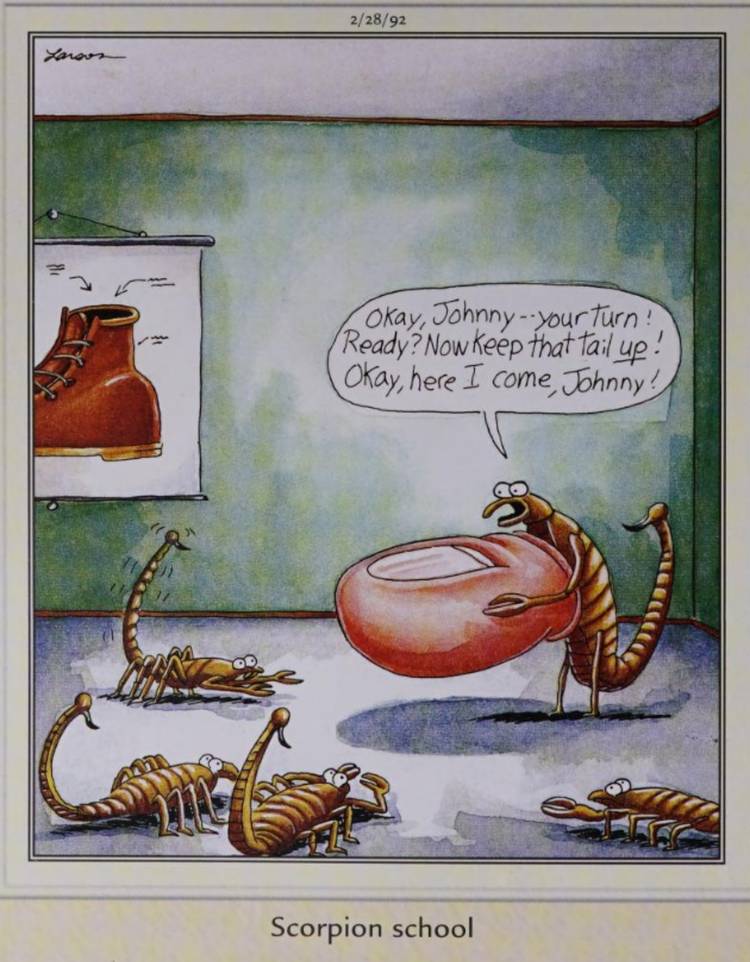 10 Hilarious Far Side Comics From the 1990s That You Definitely Forgot ...