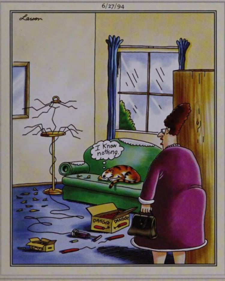 10 Hilarious Far Side Comics From the 1990s That You Definitely Forgot ...
