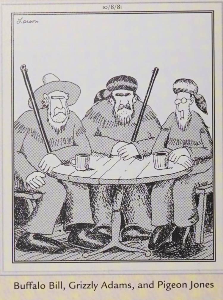 12 Classic Far Side Comics That Make American History Hilarious