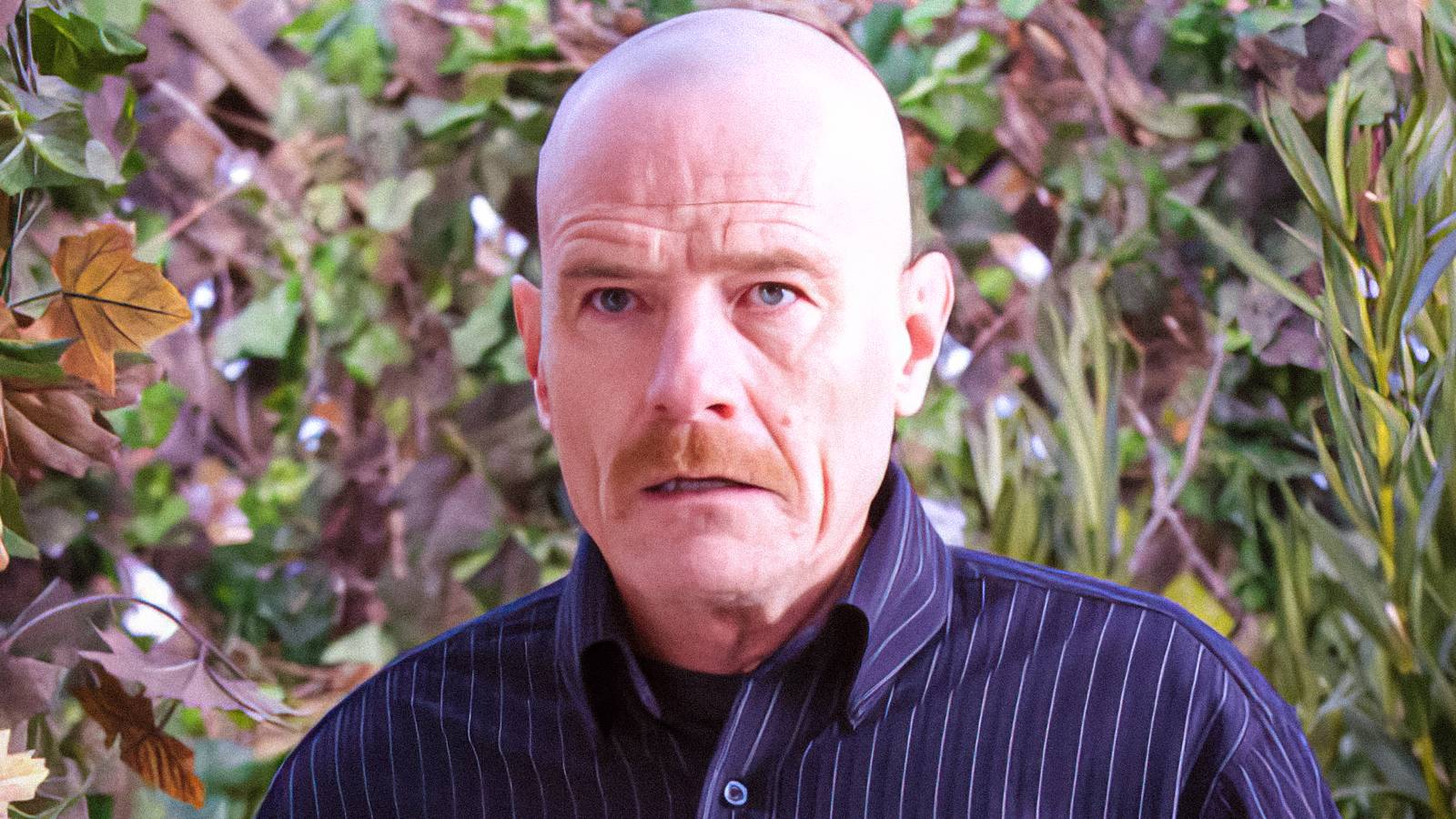 I Finally Get The Meaning Of Breaking Bad's Darkest Scene Thanks To ...