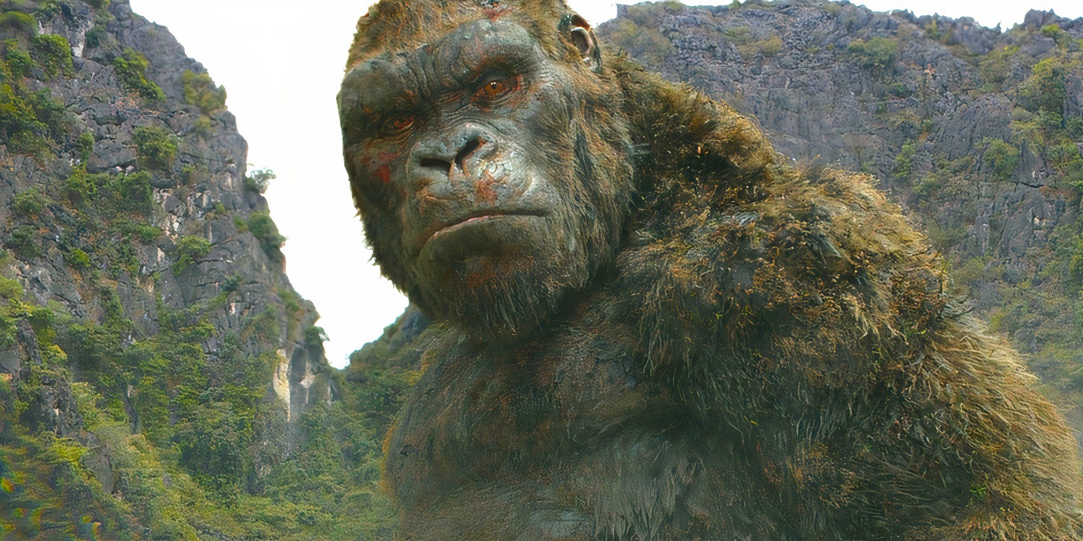 Kong: Skull Island Summary, Trailer, Cast, Where to Watch and More