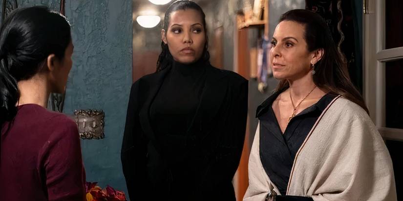 The Cleaning Lady Season 5: Will It Happen? Everything We Know