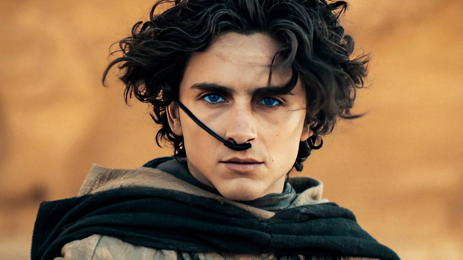 "We've Got Something": Dune 3 Gets Very Positive Update From Hans ...