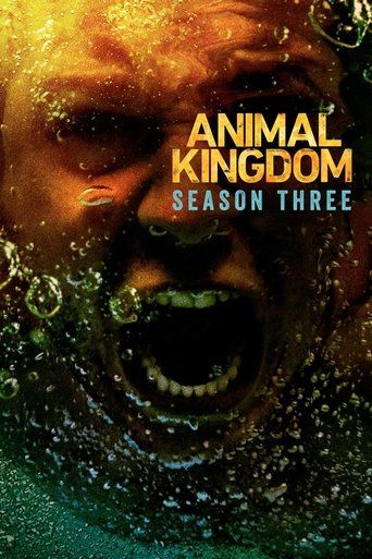 Animal Kingdom - Season 3 Summary, Trailer, Cast, and More