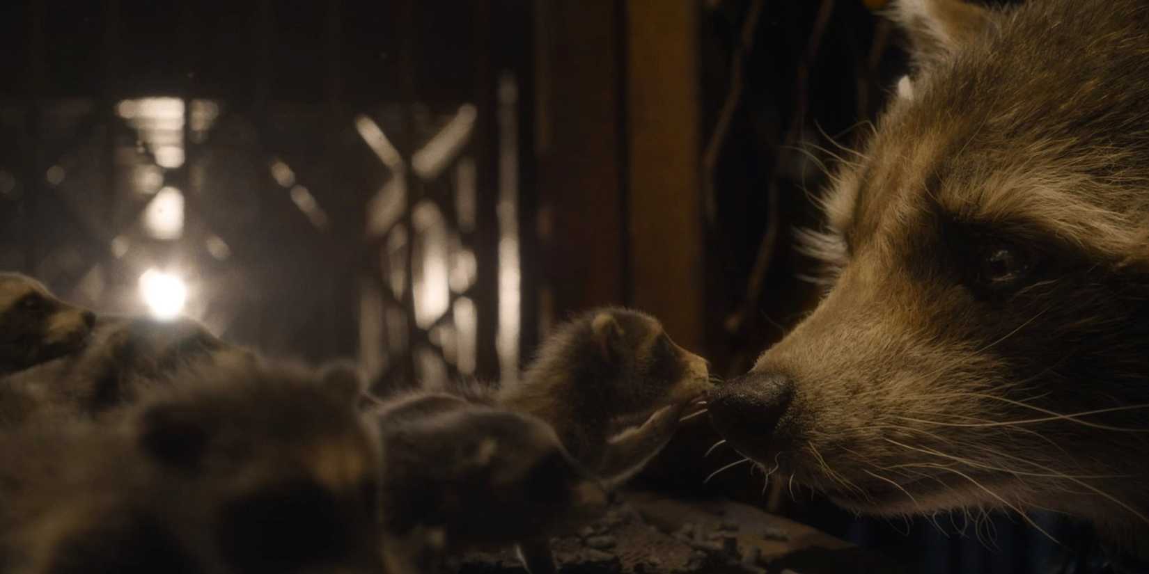 1 Line Makes Rocket's MCU Backstory Even Sadder In Guardians of the ...