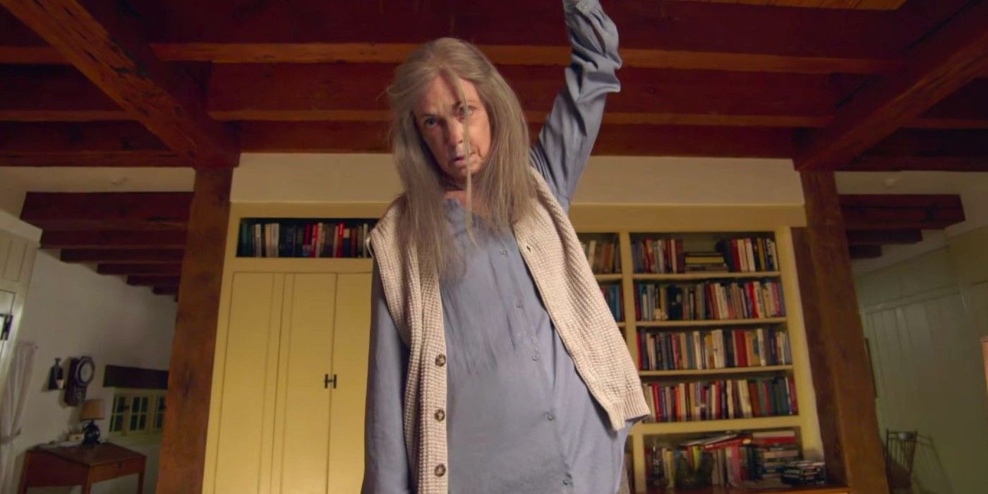 The Visit Summary, Trailer, Cast, Where to Watch and More
