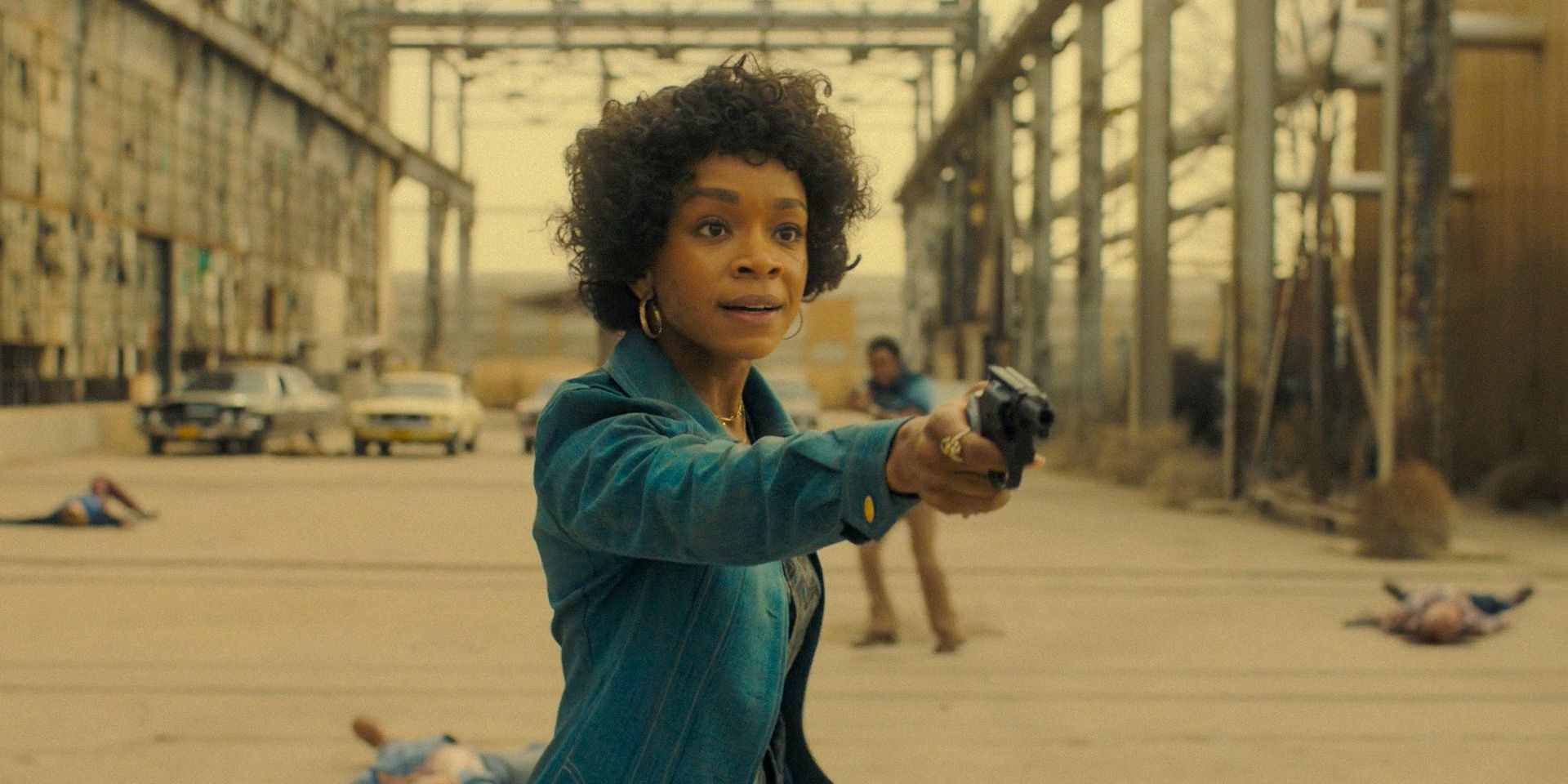 Duster Summary, Trailer, Season List, Cast, Where to Watch and More
