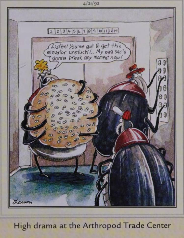 10 Hilarious Far Side Comics From 1992 That Take Gary Larson's ...