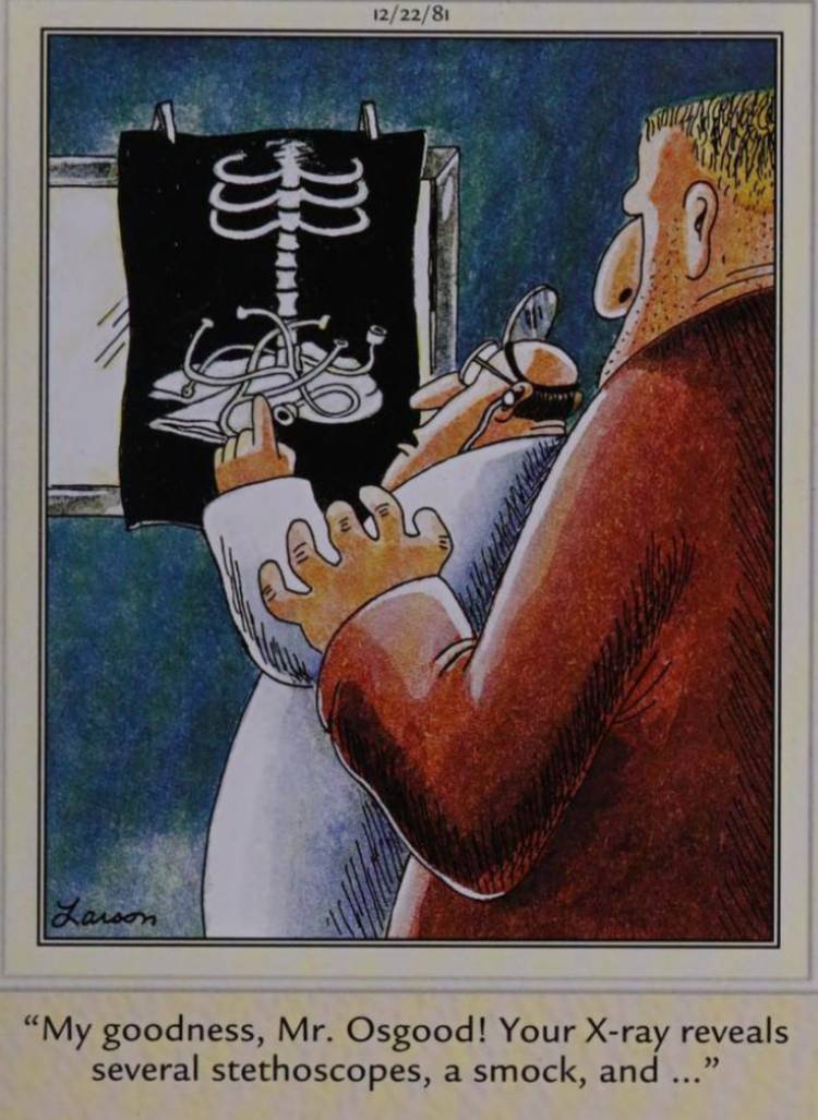 10 Forgotten Far Side Comics From the 1980s That Gary Larson Fans Need ...