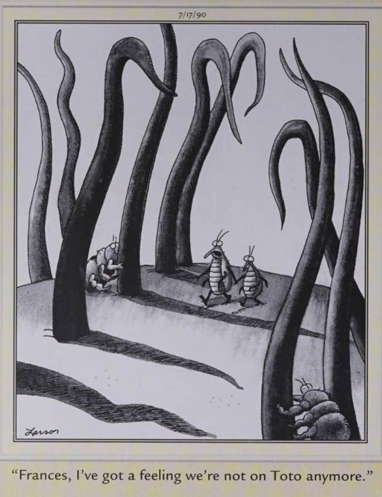 10 Funniest Far Side Comics That Are About To Turn 35 This Month