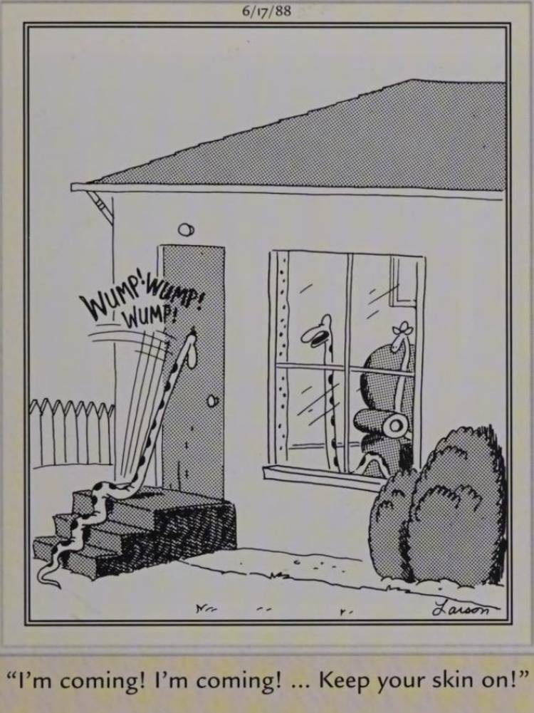 10 Funniest Far Side Comics That Flip the Script On Familiar Punchlines