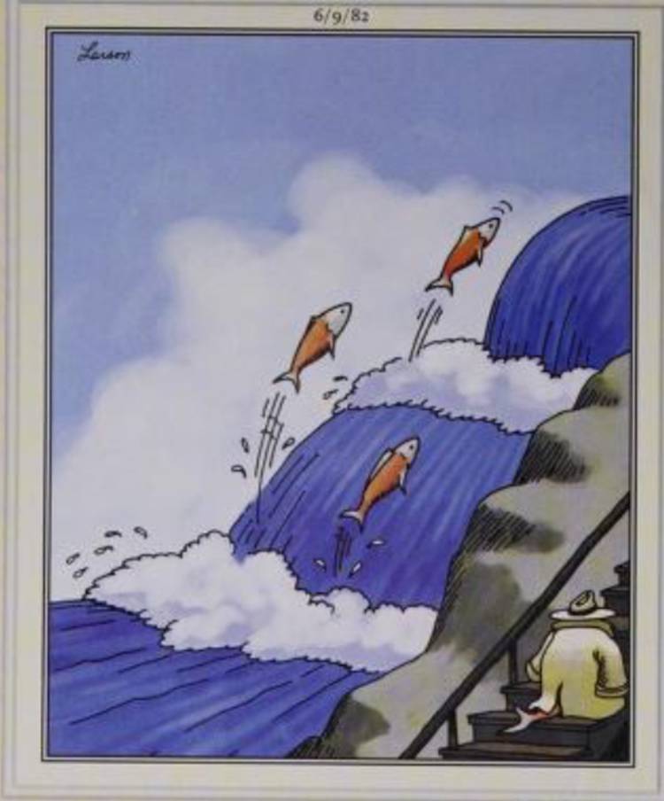 10 Forgotten Far Side Comics From the 1980s That Gary Larson Fans Need ...