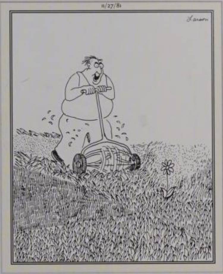 10 Forgotten Far Side Comics From the 1980s That Gary Larson Fans Need ...