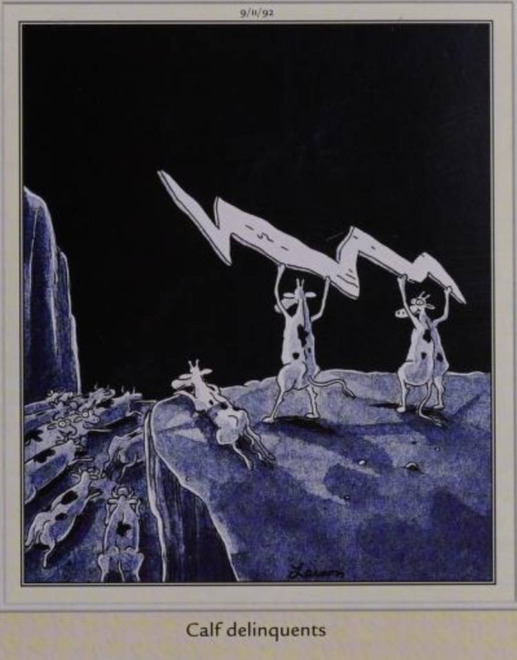 10 Confusing Far Side Comics That Make “Cow Tools” Seem Easy To Understand