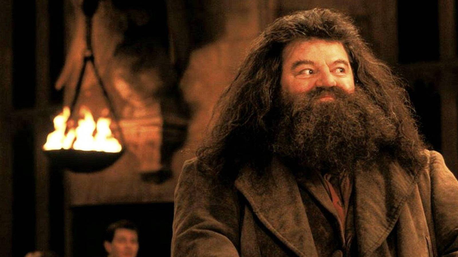 Harry Potter's New Hagrid Response Is A Perfect Example Of The HBO ...