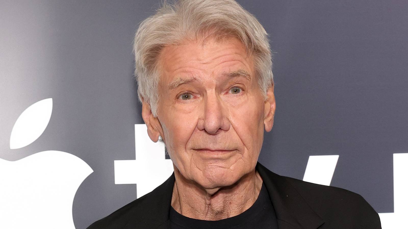Harrison Ford Candidly Reflects On His Only Oscar-Nominated Role After ...