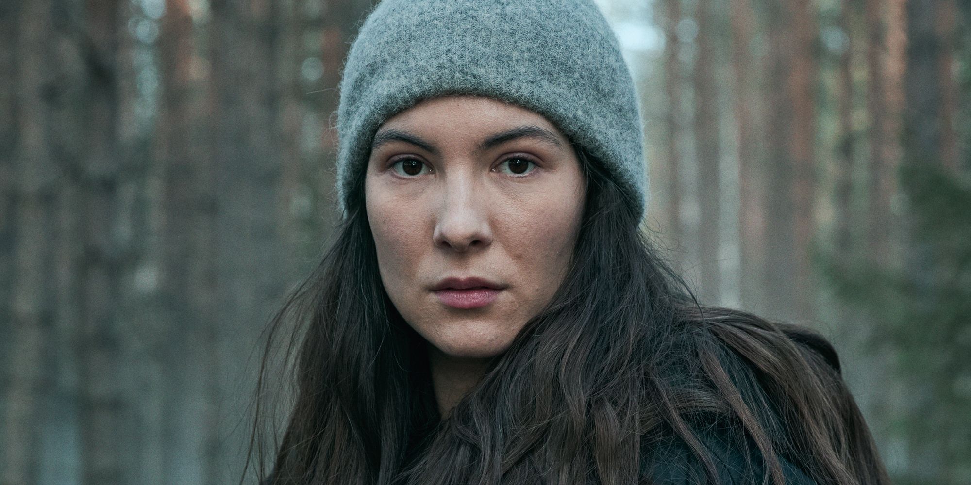 10 Crime Drama Shows You Probably Never Heard Of (Number 1 Is A ...