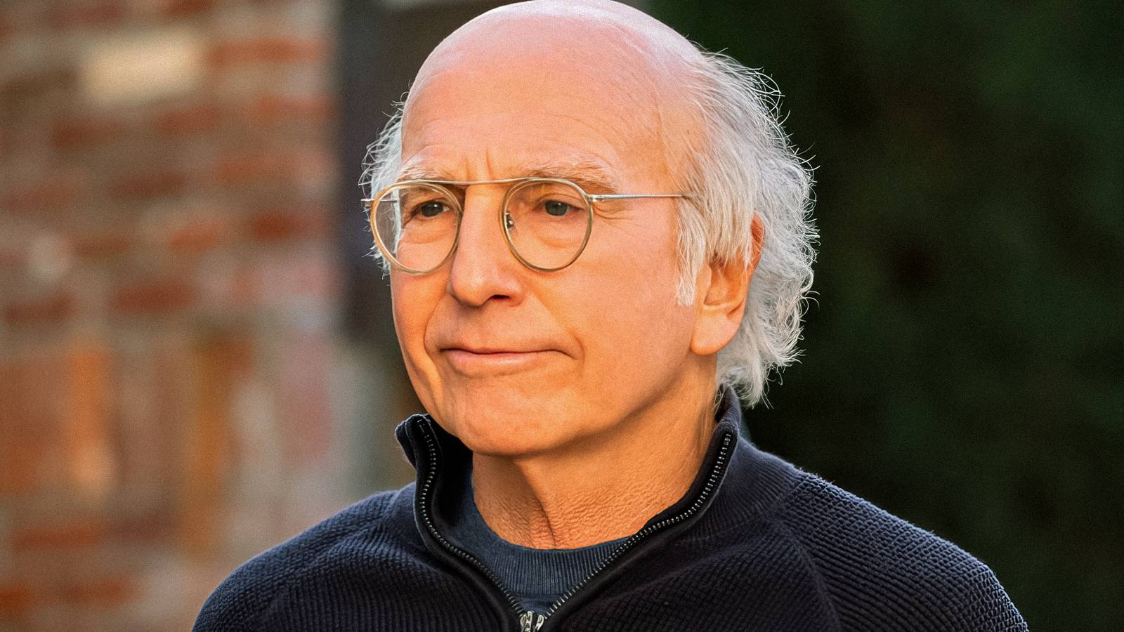Larry David Lands First HBO Comedy After Curb Your Enthusiasm's Ending