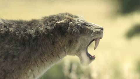 Prehistoric Planet Summary, Trailer, Season List, Cast, Where to Watch ...