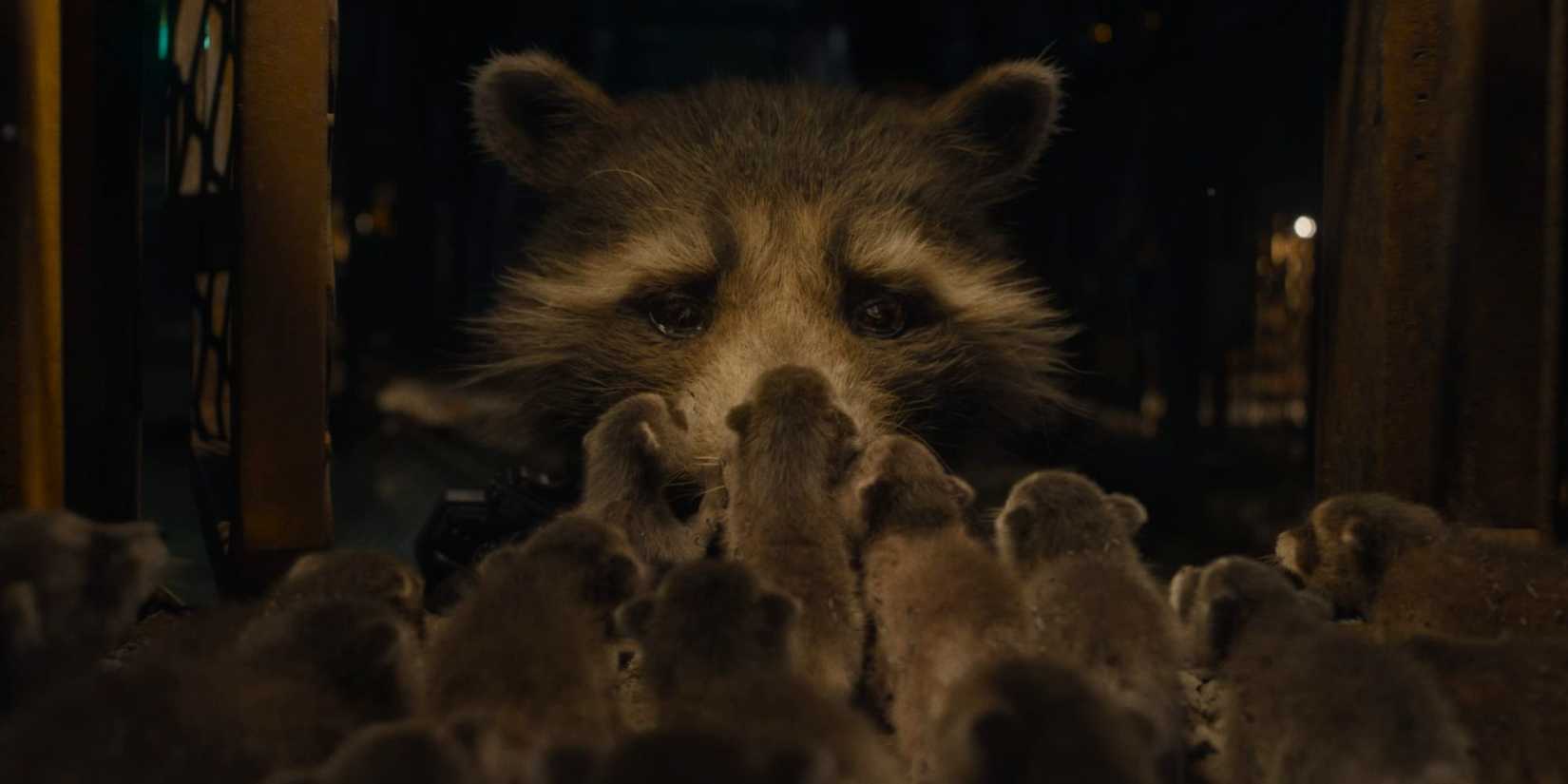 Guardians Of The Galaxy 3 Totally Changed Rocket's Story In 8 Different ...