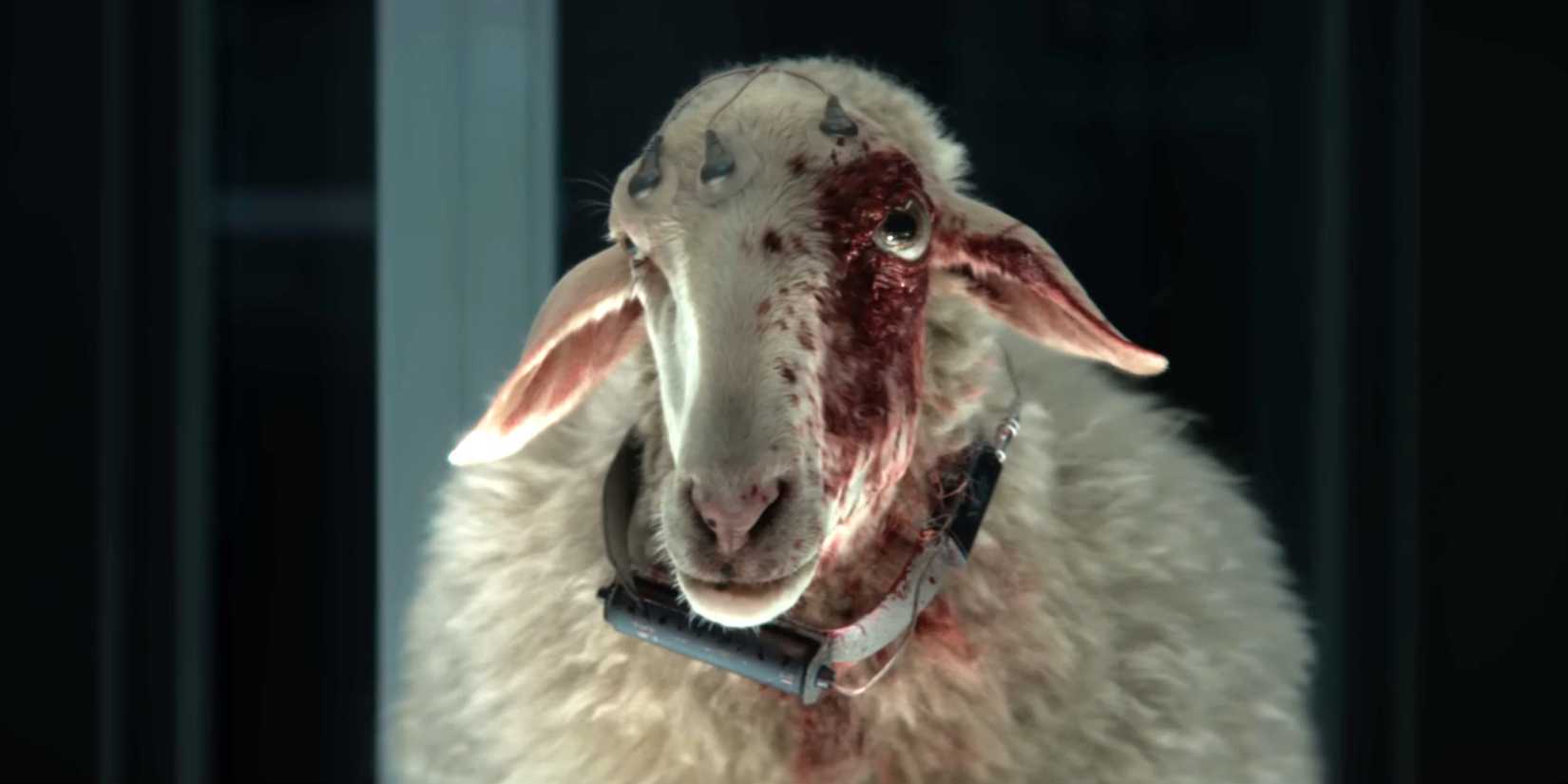 Alien: Earth's Eyeball Monster Resembles The Thing's Iconic Parasite