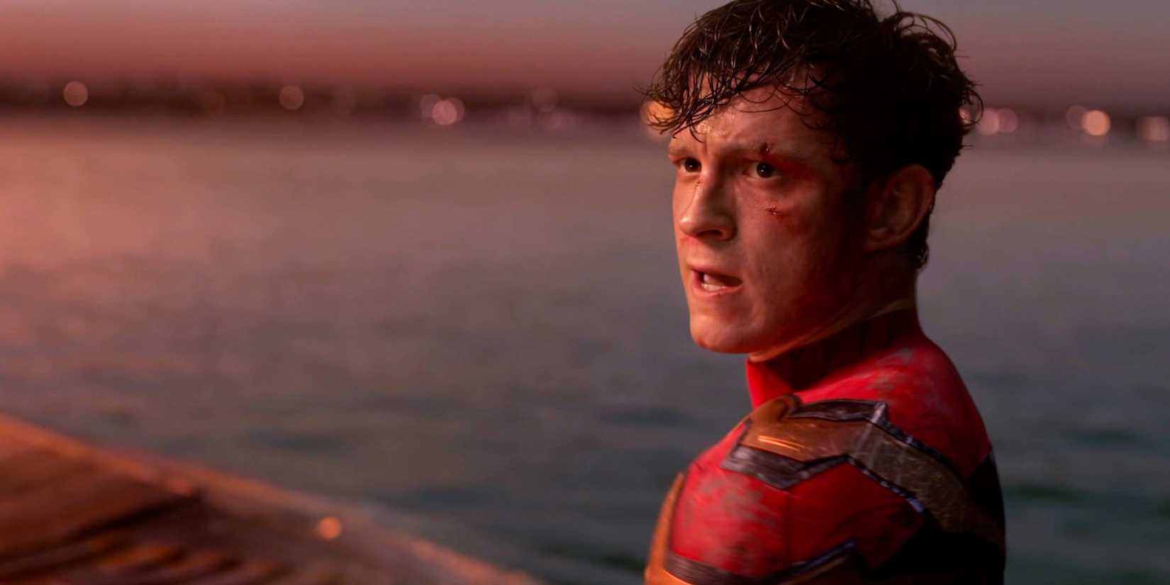 Spider-Man: Brand New Day - How Hulk & Punisher's Journeys Could Shape ...