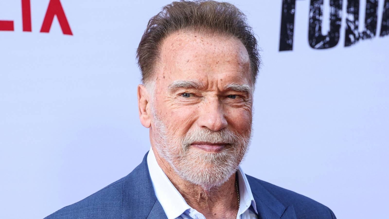 Arnold Schwarzenegger's Netflix Show Cancelled After Two Seasons