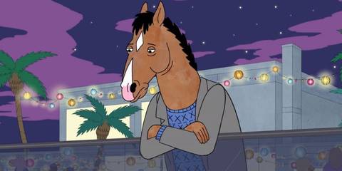 BoJack Horseman Summary, Trailer, Season List, Cast, Where to Watch and ...
